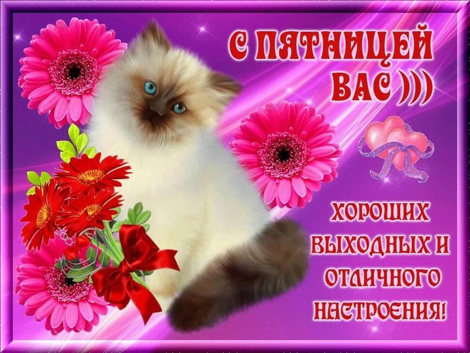 Скачать необычную открытку про Пятницу и красивая картинка поздравление