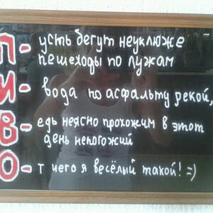 Кружка пива - Фото Дом Солнца